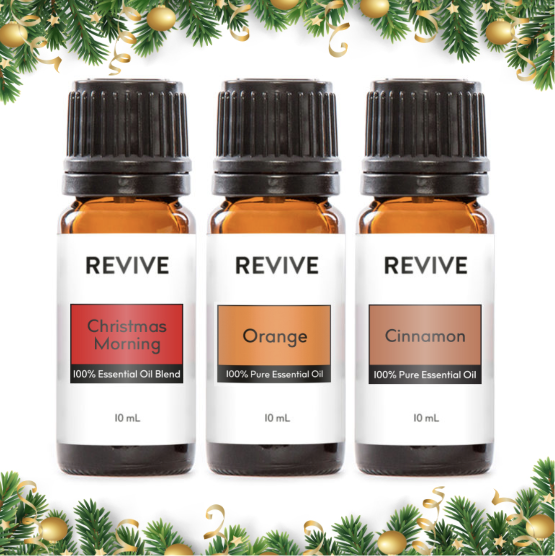 Holiday Kit - Christmas, Orange, Cinnamon - REVIVE Essential Oils