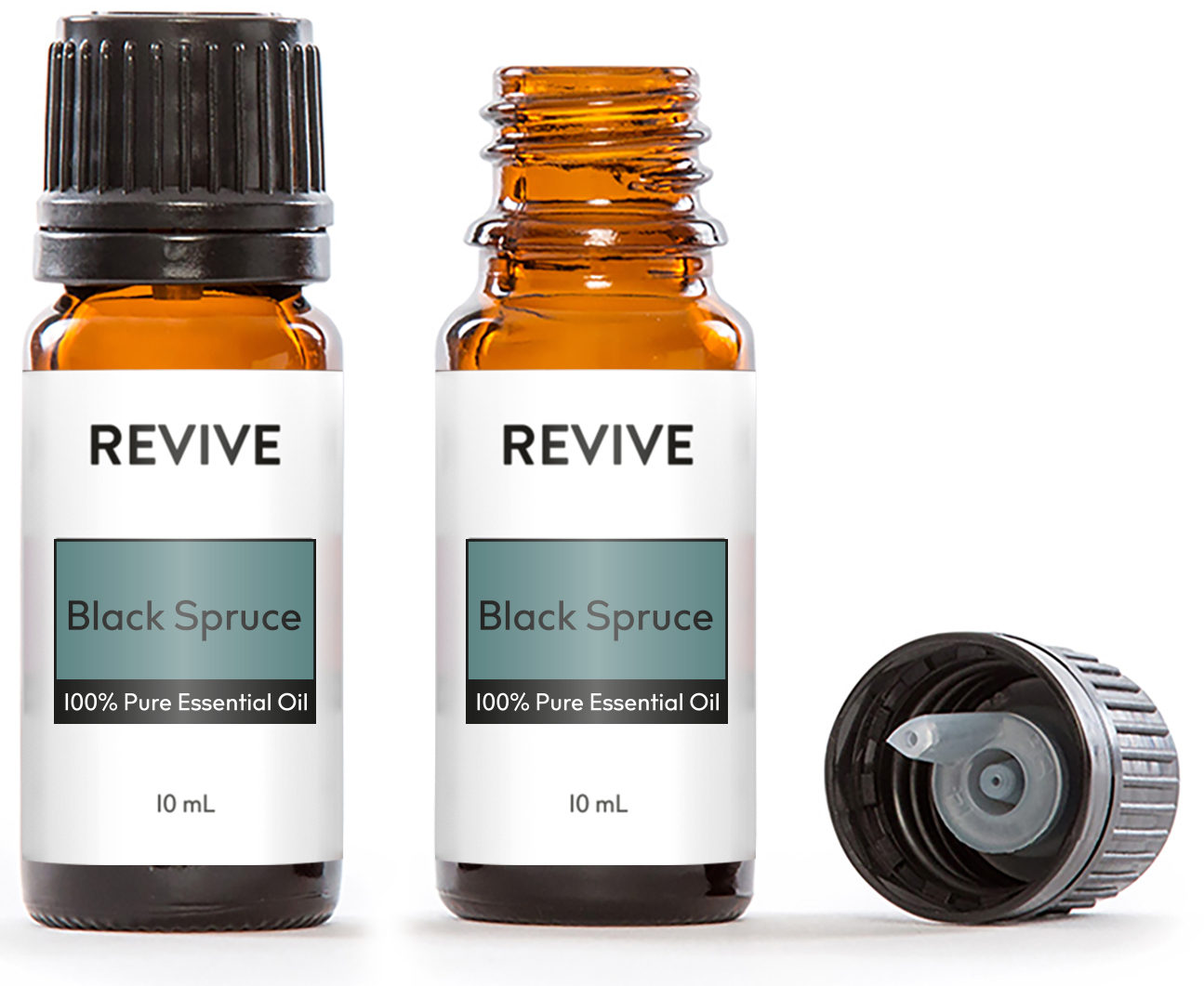 Black Spruce Essential Oil | REVIVE Essential Oils
