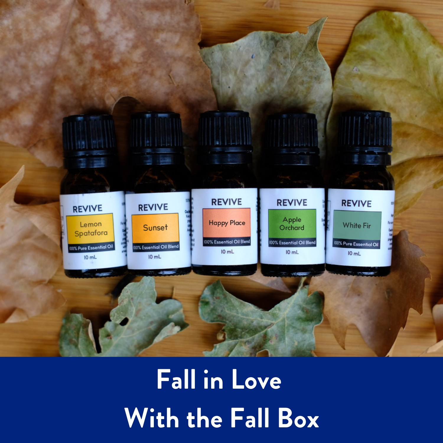Fall Box Diffuser Blends - REVIVE Essential Oils