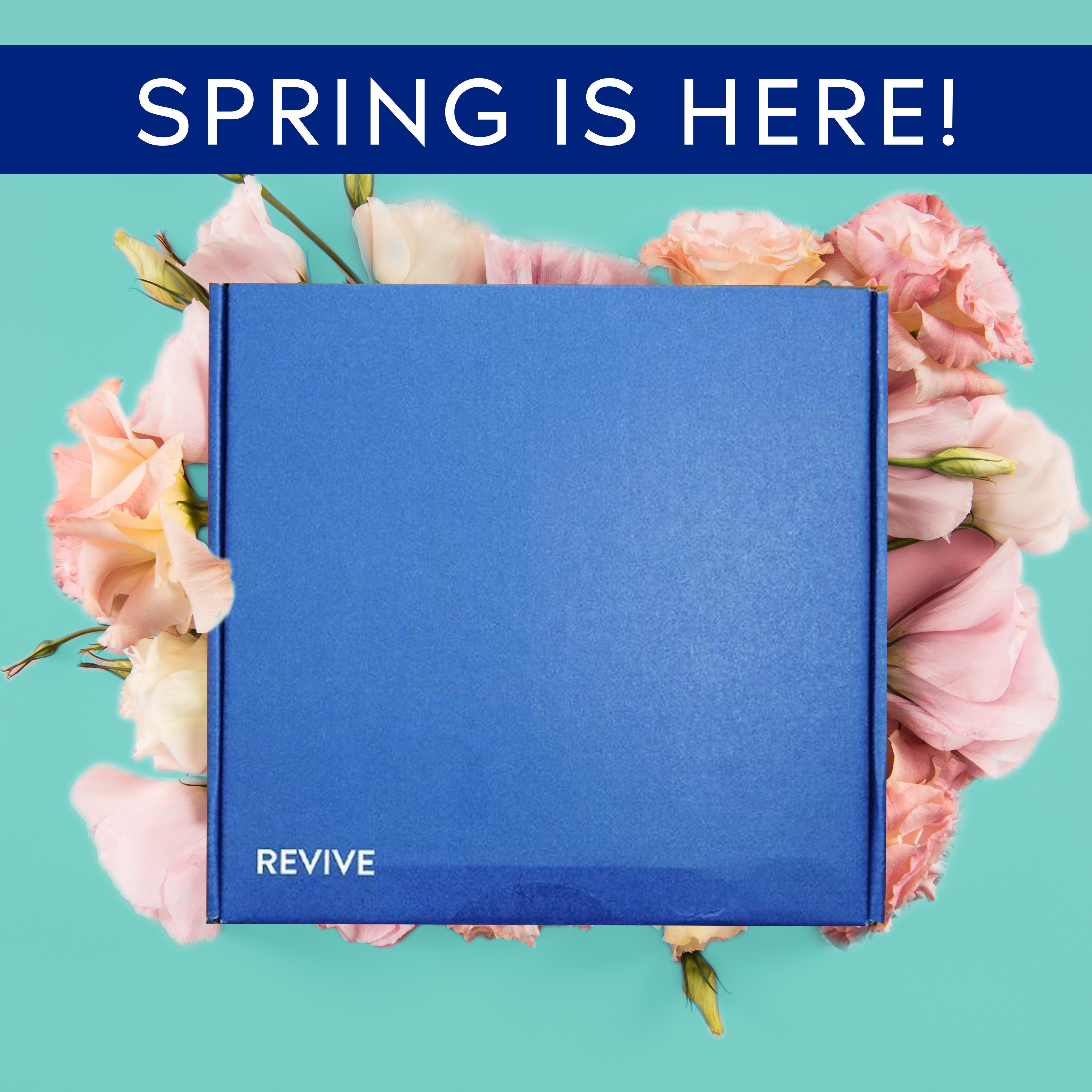 All About The Spring Box - 2020 - REVIVE Essential Oils