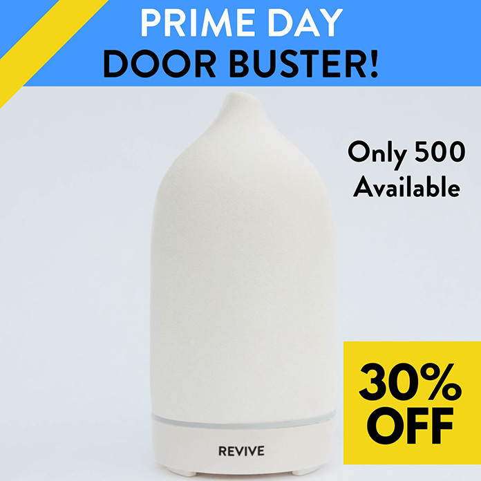 The Champagne, Ceramic Ultrasonic Diffuser - REVIVE Essential Oils