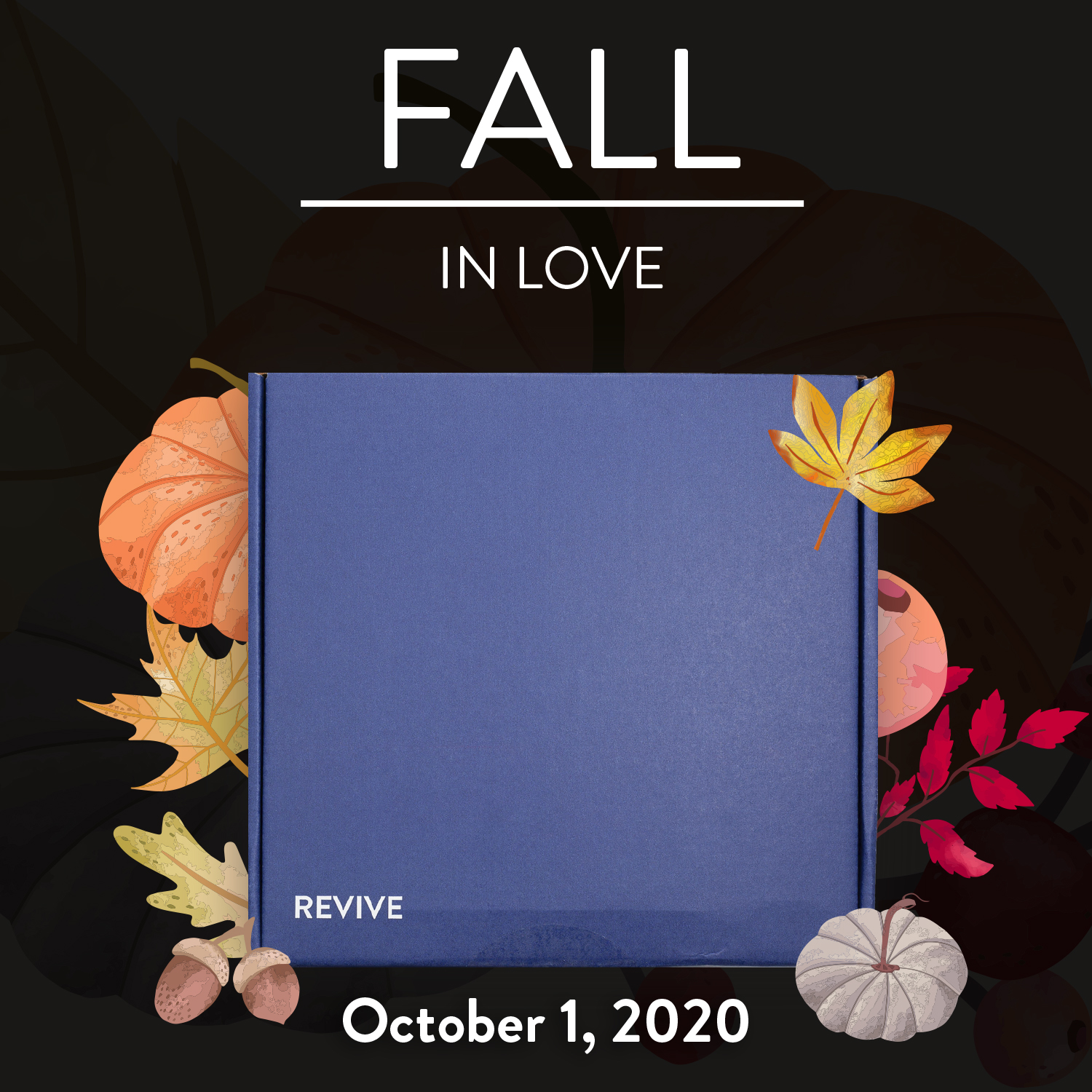 All About The Fall Box - 2020 - REVIVE Essential Oils