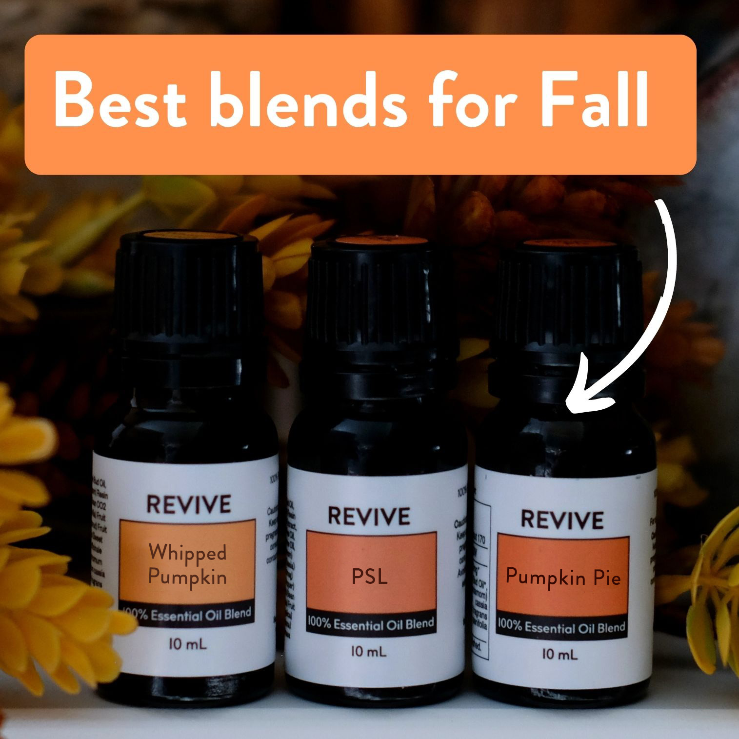 Pumpkin Kit - REVIVE Essential Oils