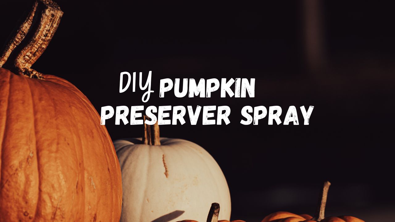 Diy Pumpkin Preserver Spray - REVIVE Essential Oils